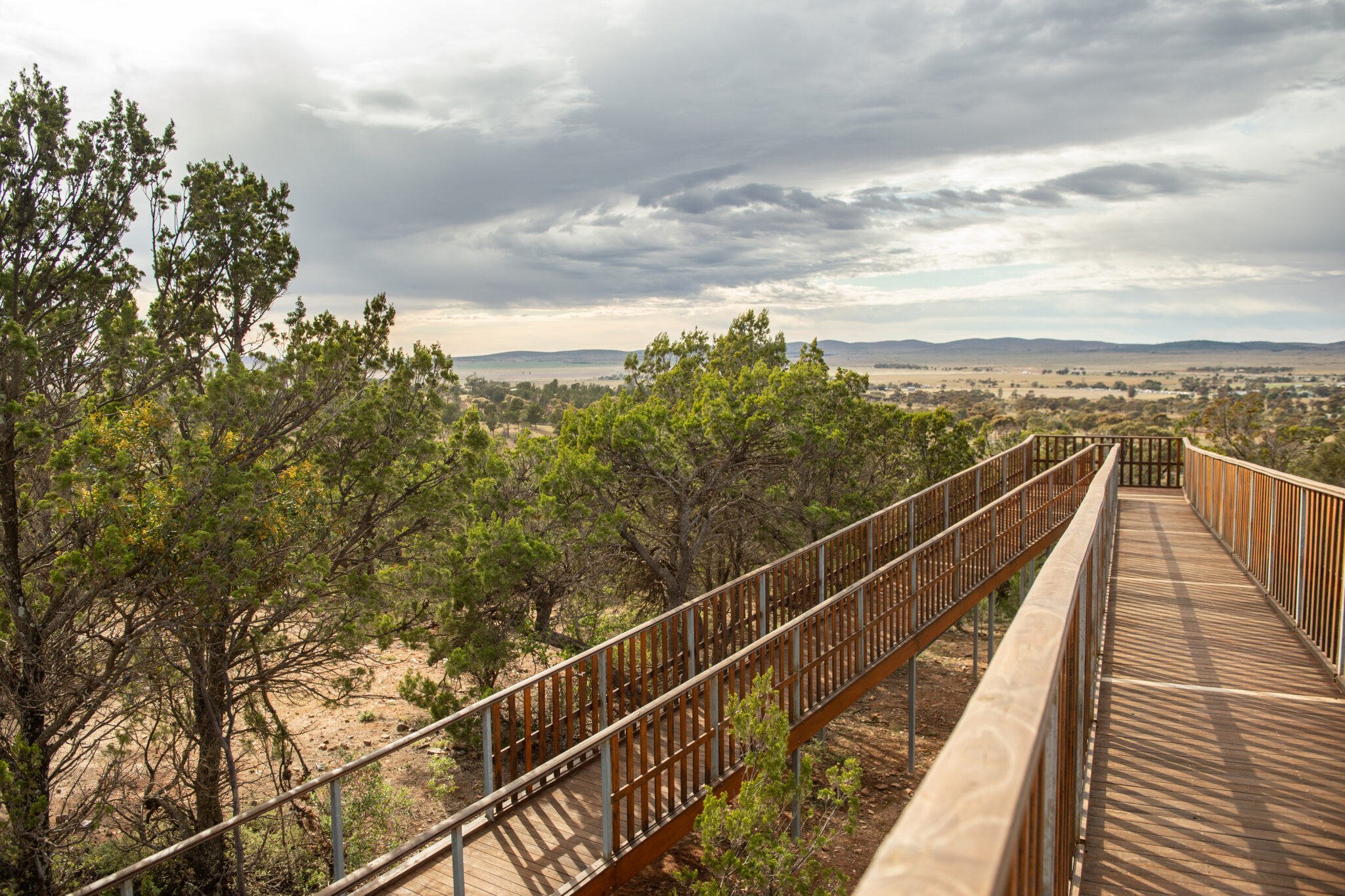 Greg Duggan Nature Reserve and Tank Hill Lookout – Make Tracks to ...